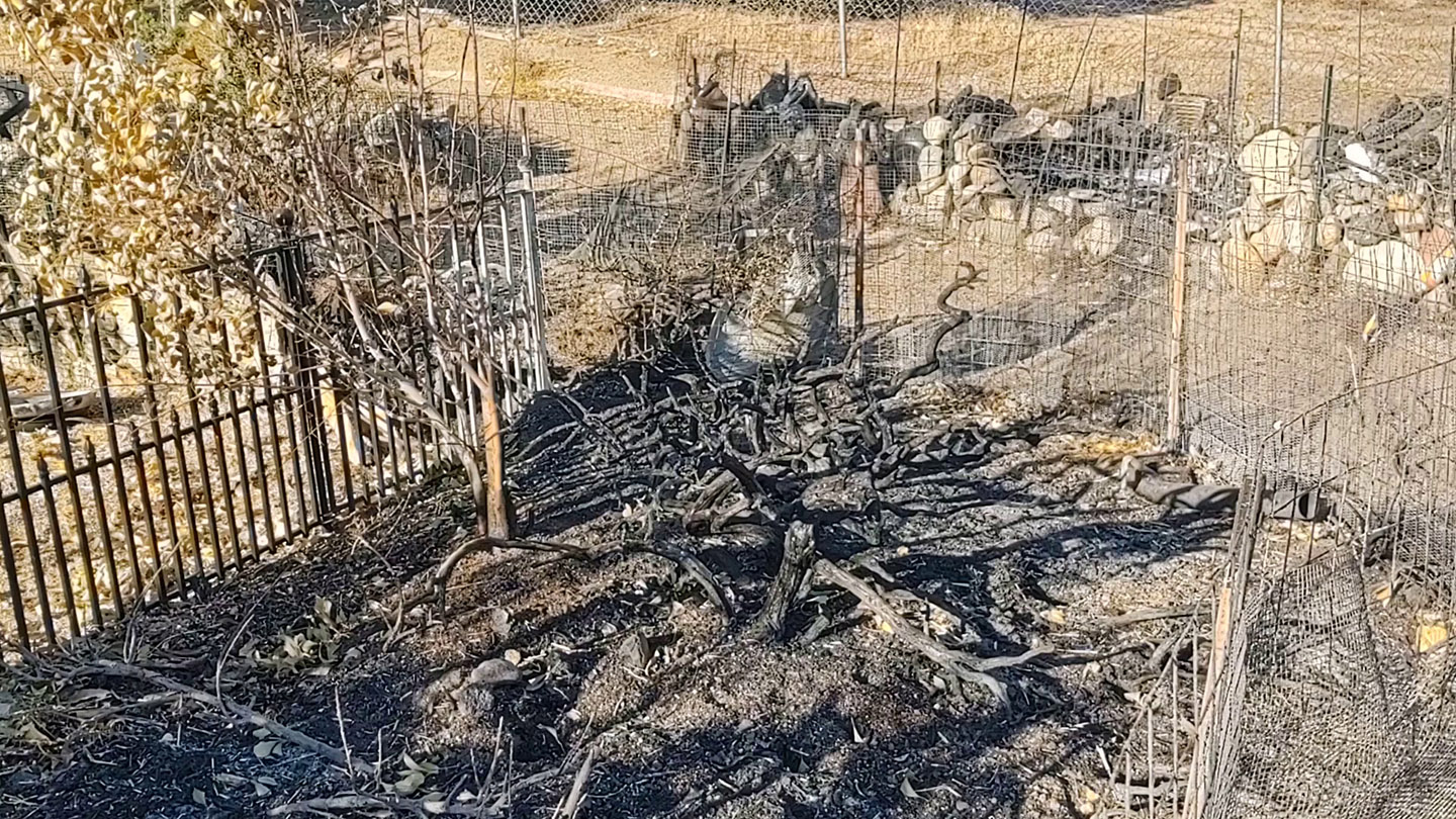 Rebuilding after The Bobcat Fire – Infrawarrior
