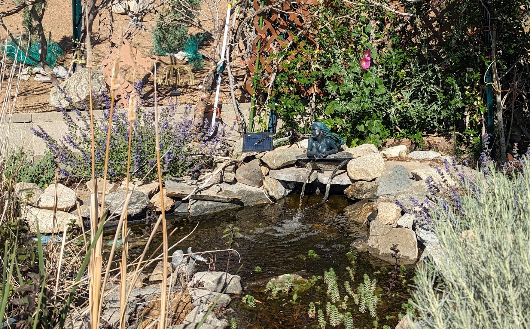 Building a Larger Pond for Wildlife – Infrawarrior